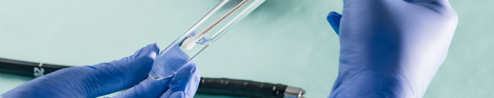 Retrospective Analysis of Microbiological Endoscope Samples